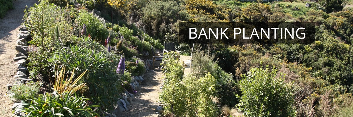 Backyard Nursery | MaryflowerMaryflower